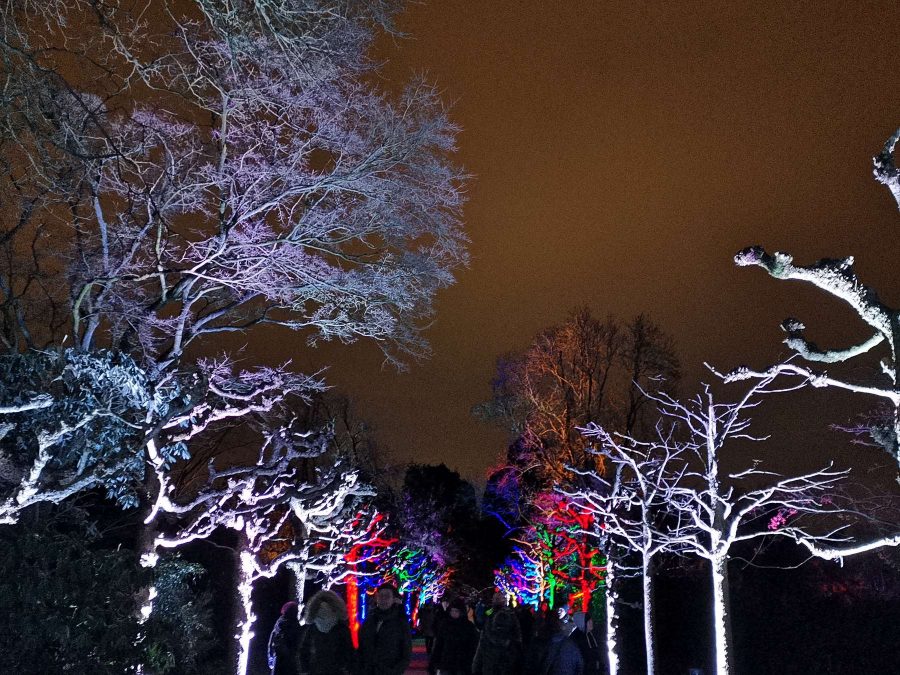 Essen, Gruga-Park - Parkleuchten 2020 Highlights / rainer-roessler.de # ...