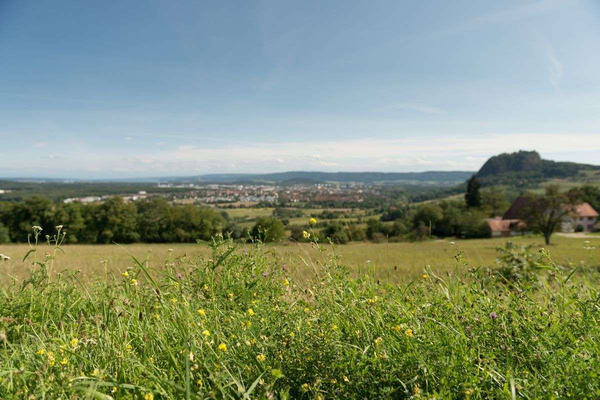 Fotograf Singen Htwl Portfolio / rainer-roessler.de #HolisticArt